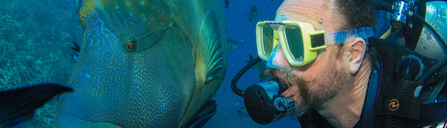 Paul Cowey | Parry Field Lawyers